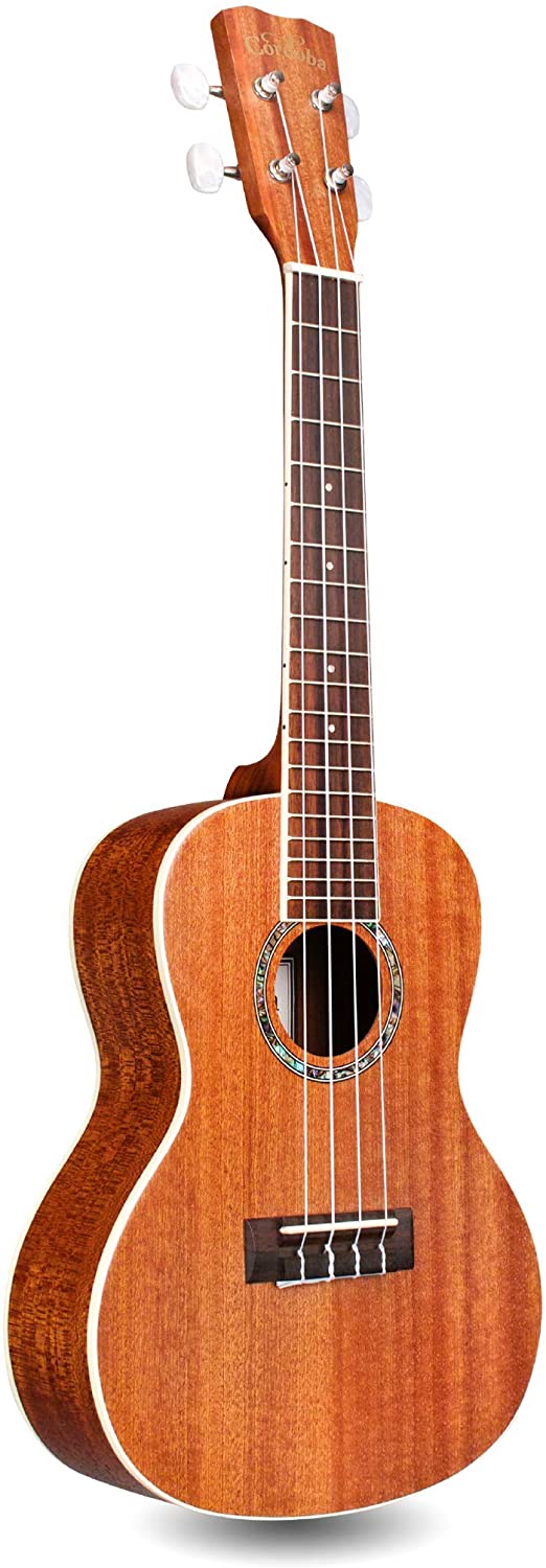10 Best Ukuleles for Beginners – Digital Piano Planet